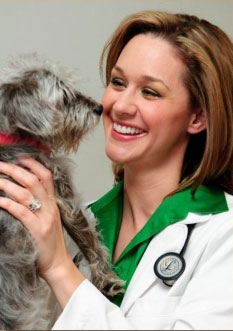 Live Chat: Dr. Katy Nelson, veterinarian - WTOP News