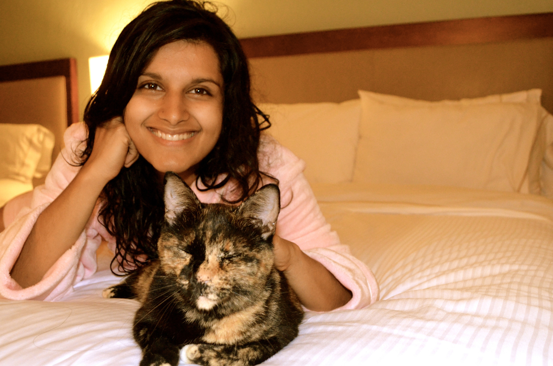 Founder shares plans for D.C.’s first cat café, Crumbs and Whiskers ...