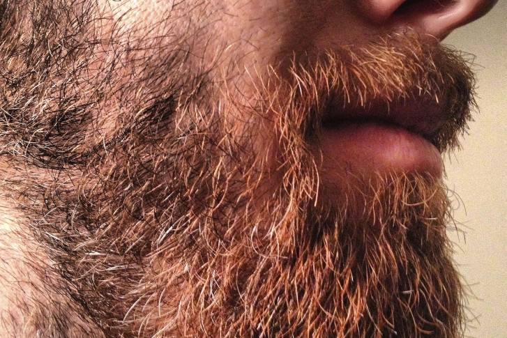 Microbiologist’s tests show beards are full of fecal bacteria | WTOP