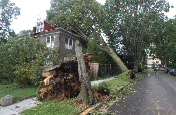 Hurricane Isabel Damage
