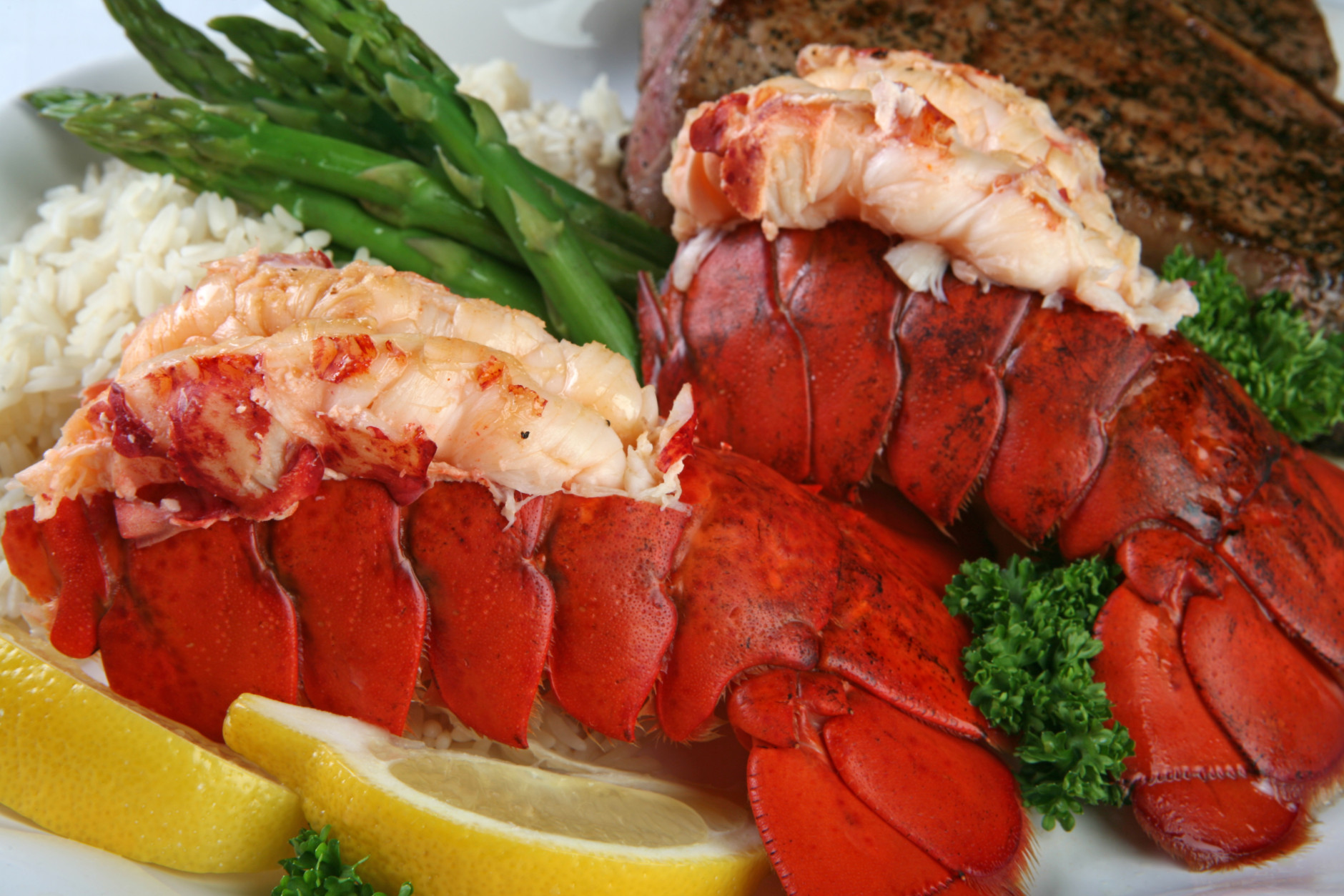 Quarterfinals: Lobster vs Turkey | Sherdog Forums | UFC, MMA & Boxing ...