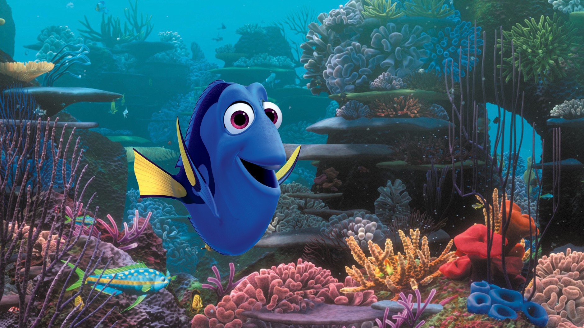 Pixar’s ‘Finding Dory’ captures the ‘Nemo’ magic swimmingly - WTOP News