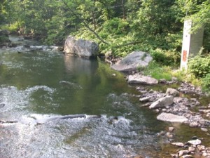 Group on quest for Savage River ‘wild and scenic’ status | WTOP