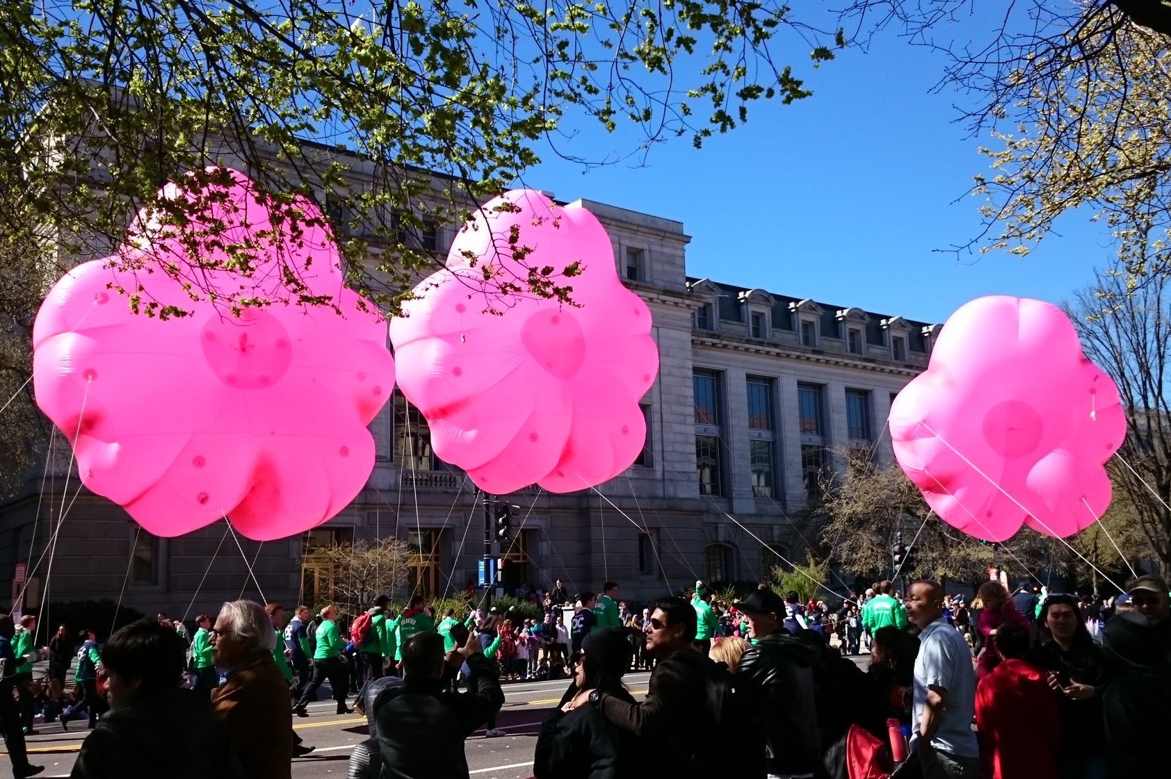 Photos: National Cherry Blossom Festival Parade - WTOP News