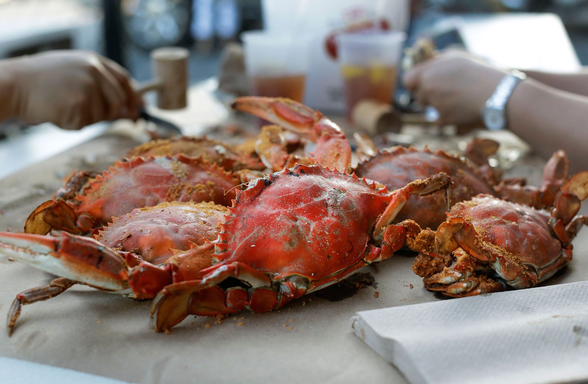 WTOP TOP 10: Best Crabs - WTOP News
