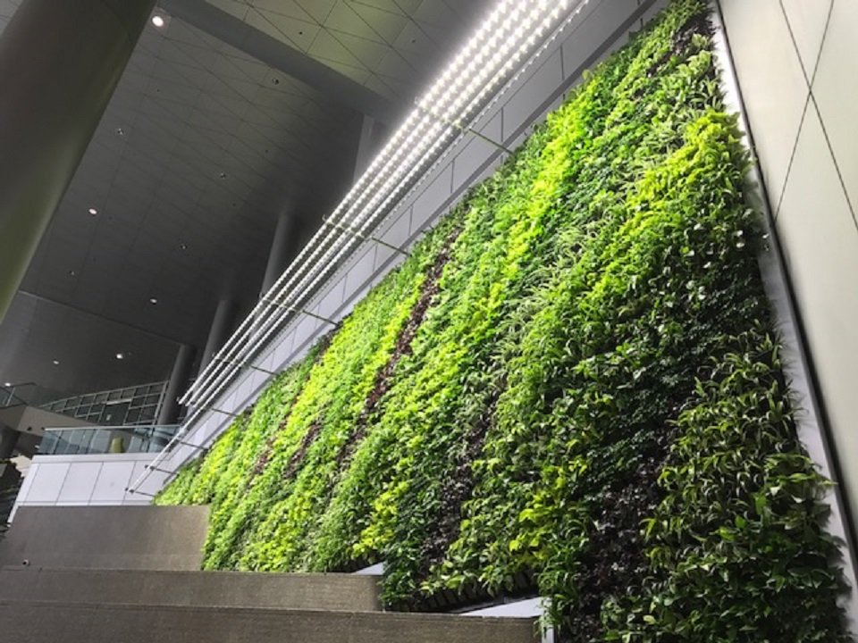 Rosslyn high rise gets 2nd-biggest active green wall - WTOP News