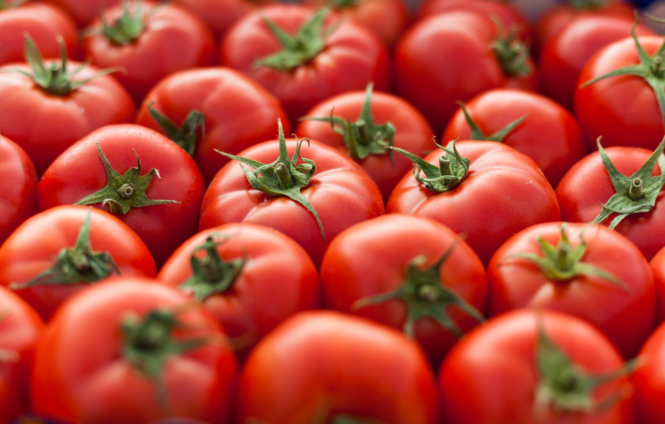It’s time for more tomato tips: Begin by planting late in the day ...