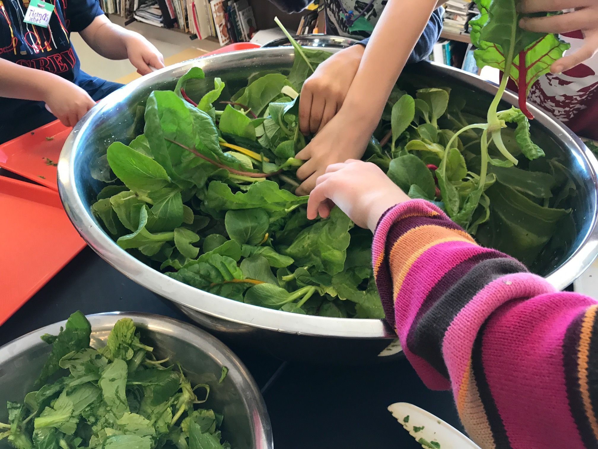 Student-grown salad in the school cafeteria? These kids dig it - WTOP News