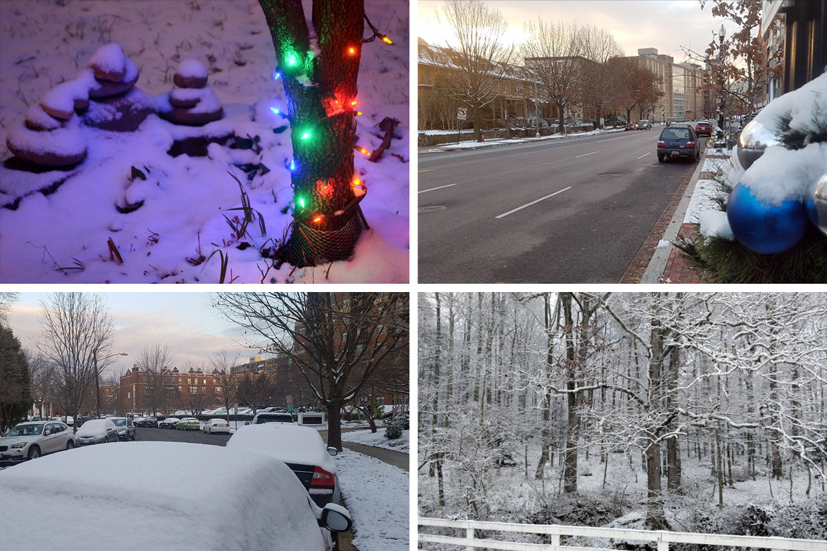Brief winter wonderland: Record snow totals and what to expect next ...