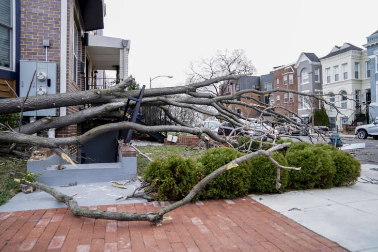 Friday storm brings record wind to DC | WTOP