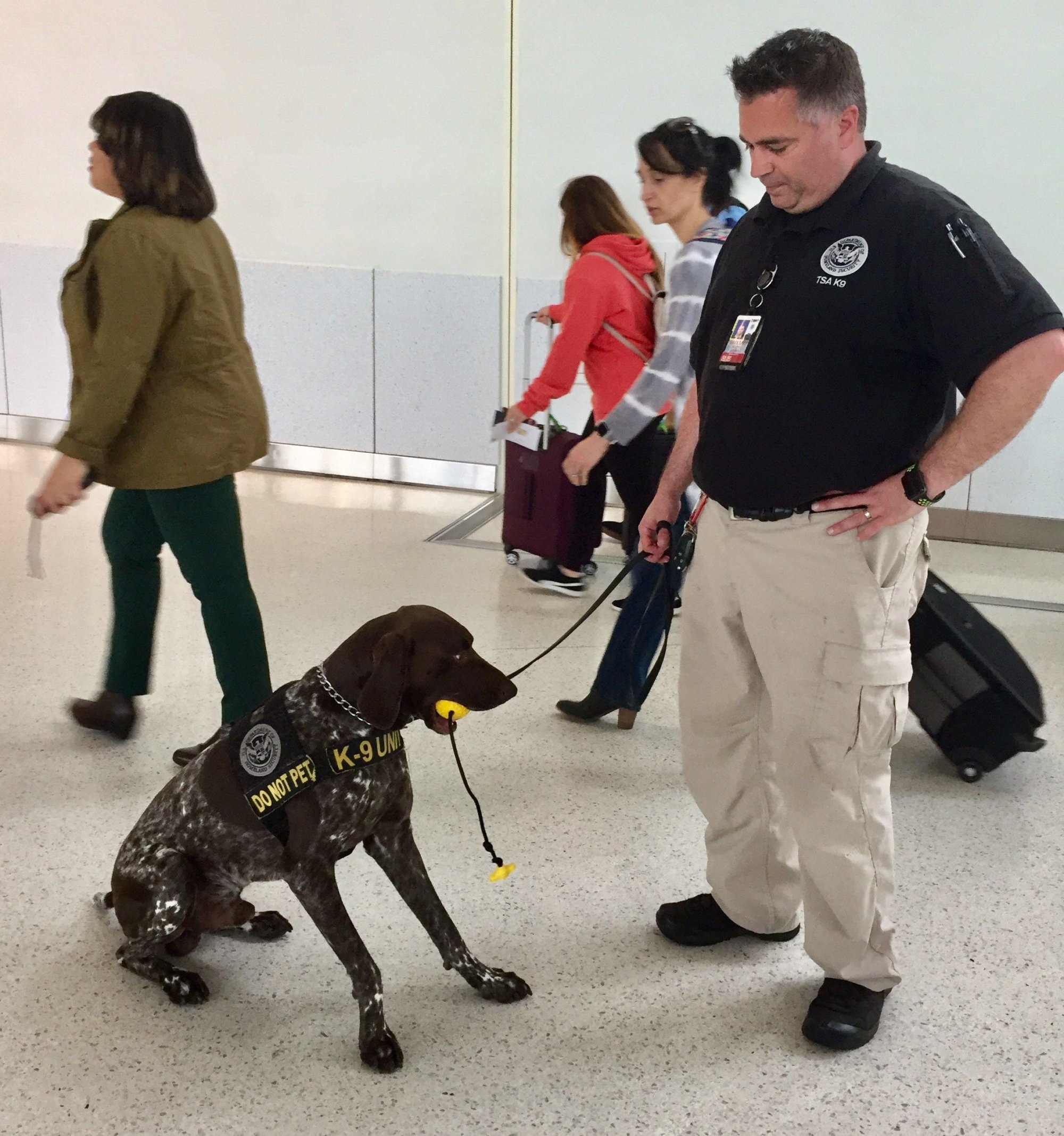 TSA is 20 years old, and BWI Marshall plays a big role in its history ...