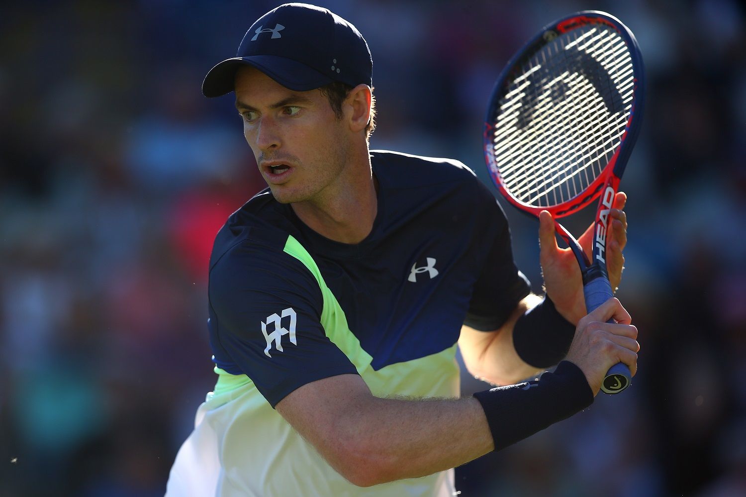 Murray, Stephens highlight field as Citi Open turns 50 - WTOP News