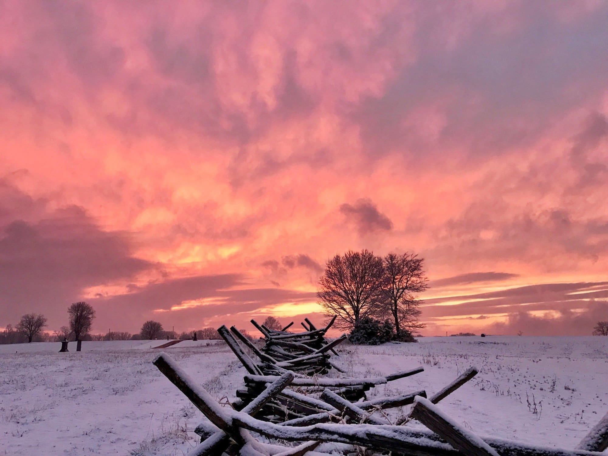 PHOTOS: Snow hits the DC region - WTOP News