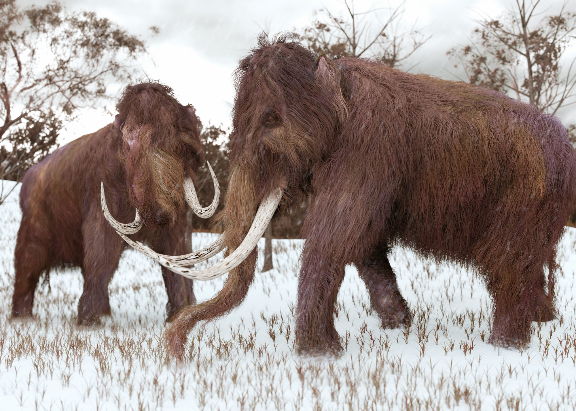 At 90, Japanese scientist still dreams of resurrecting a woolly mammoth ...