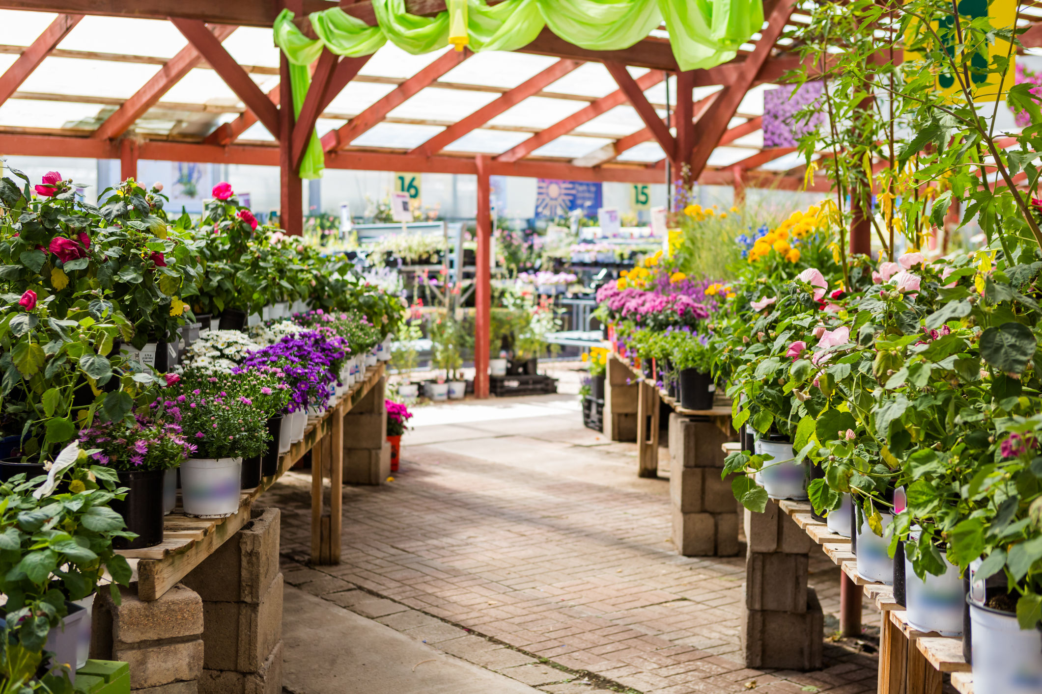 Which DC Area Garden Center Chains Have The Best Plant Prices WTOP News Which DC Area Garden Center Chains Have The Best Plant Prices WTOP News