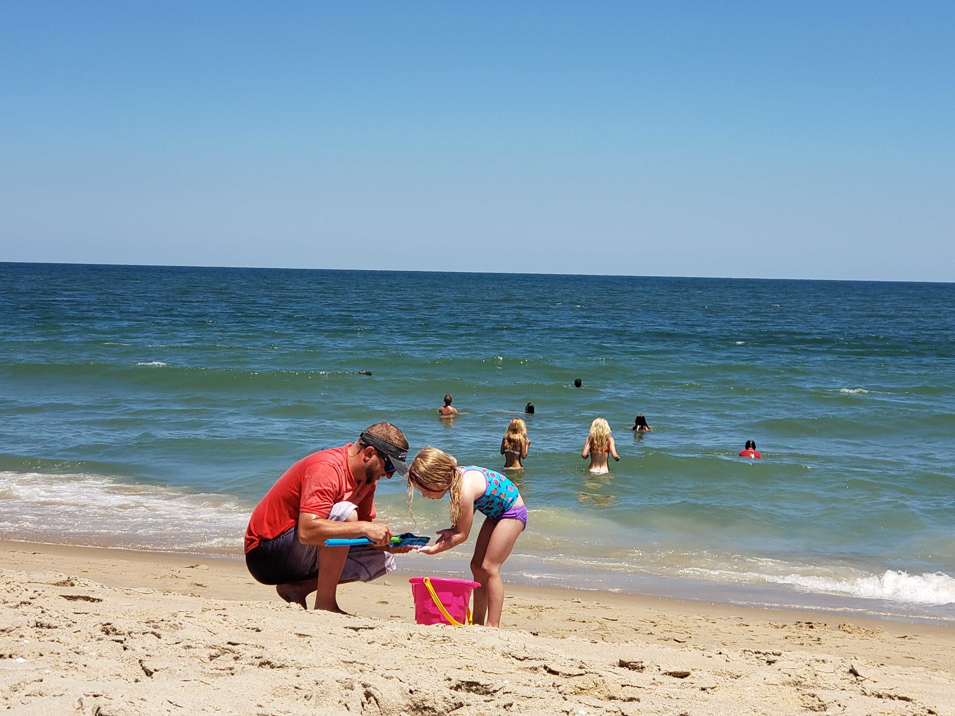 Oh, poop: Many beaches can be potentially unsafe for swimming, study ...