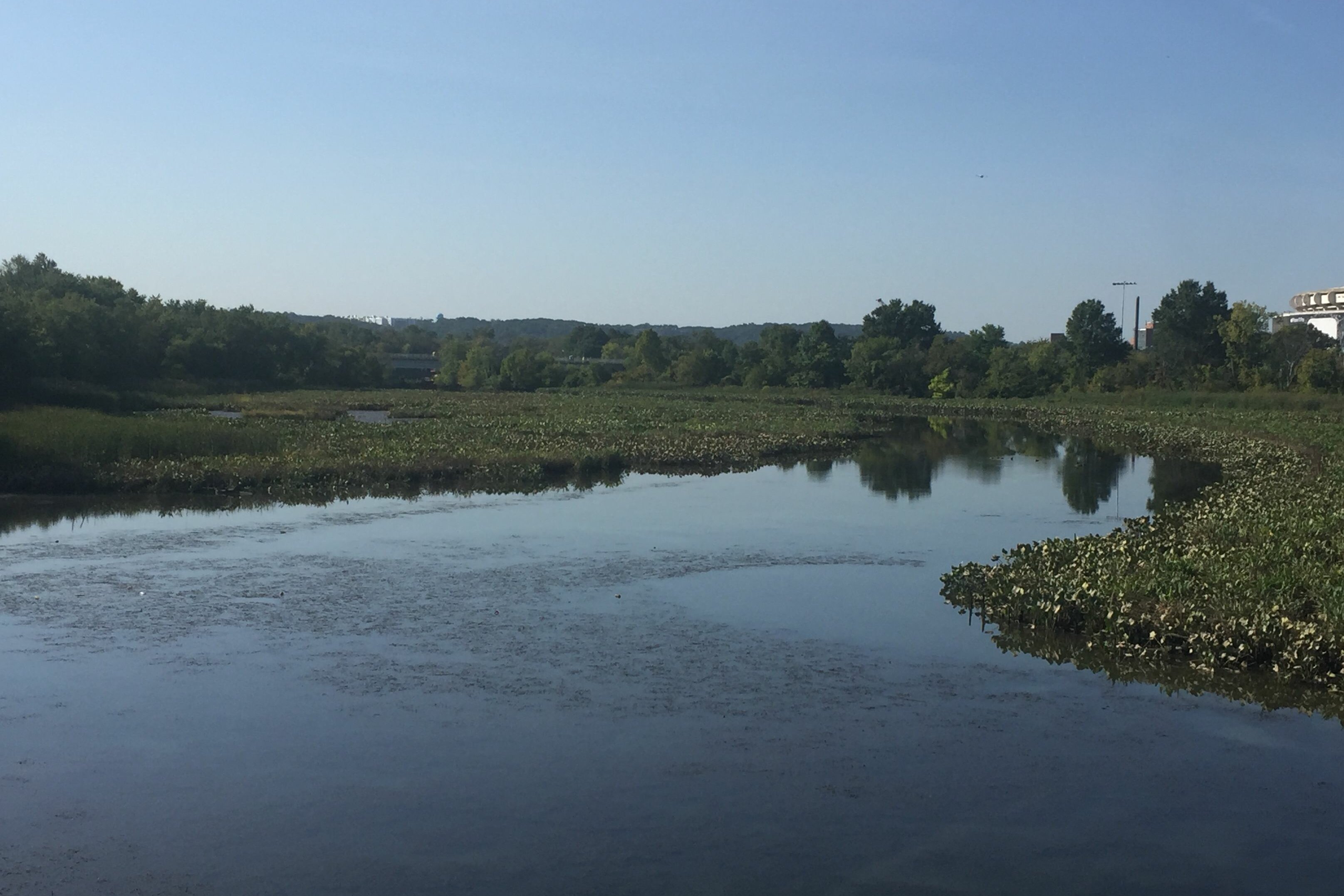 Anacostia River continues to improve — but don’t jump in - WTOP News
