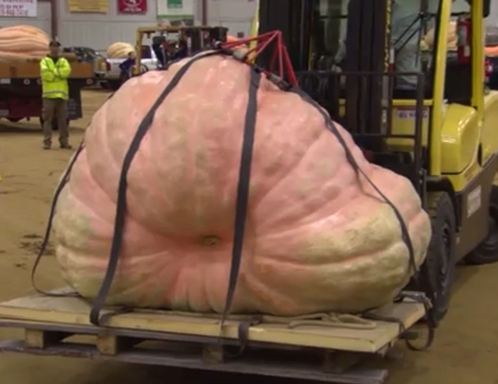 This record-breaking pumpkin is heavier than a small car and big enough ...
