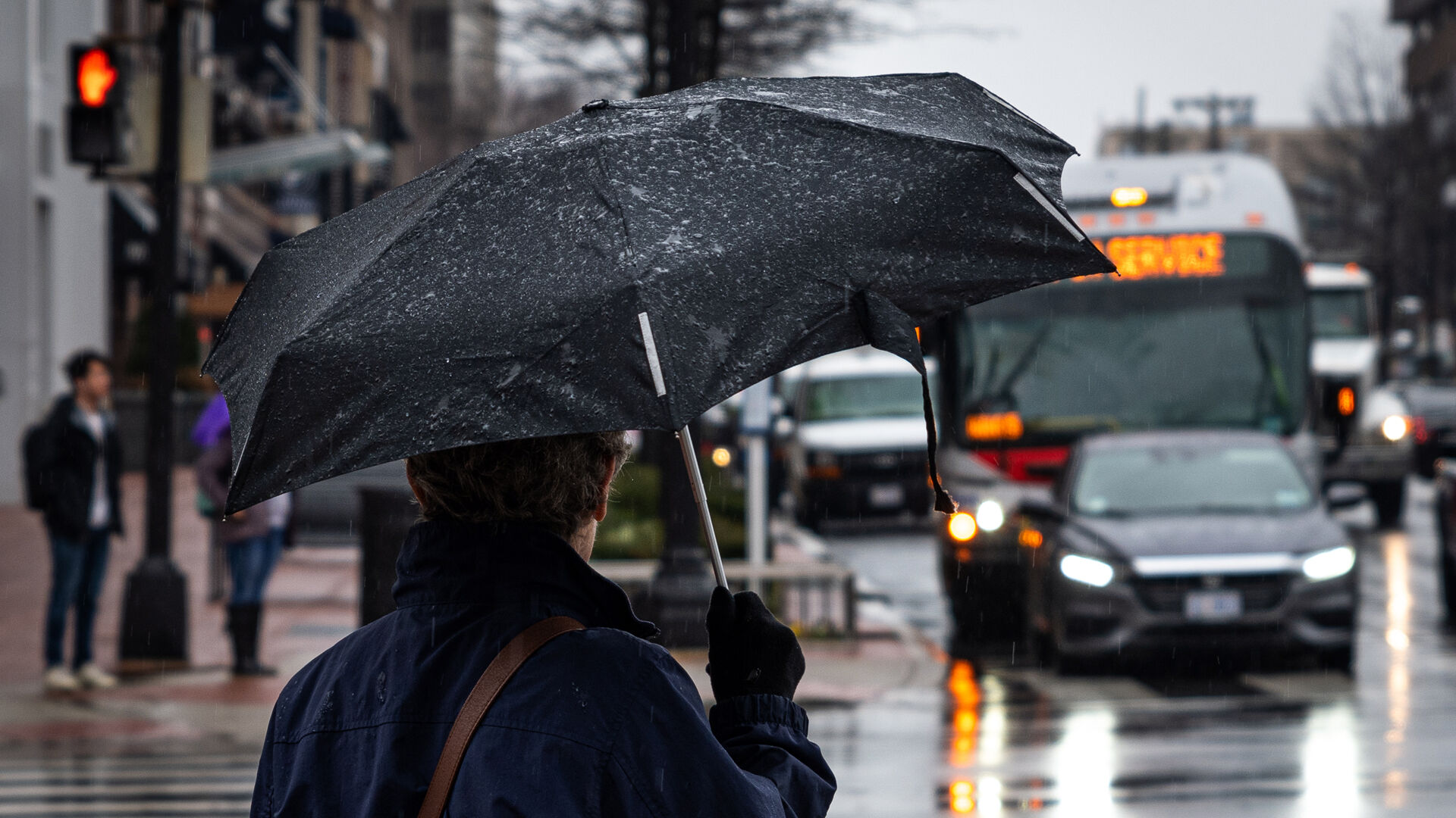 Heavy rain, high winds expected for DC area Monday - WTOP News