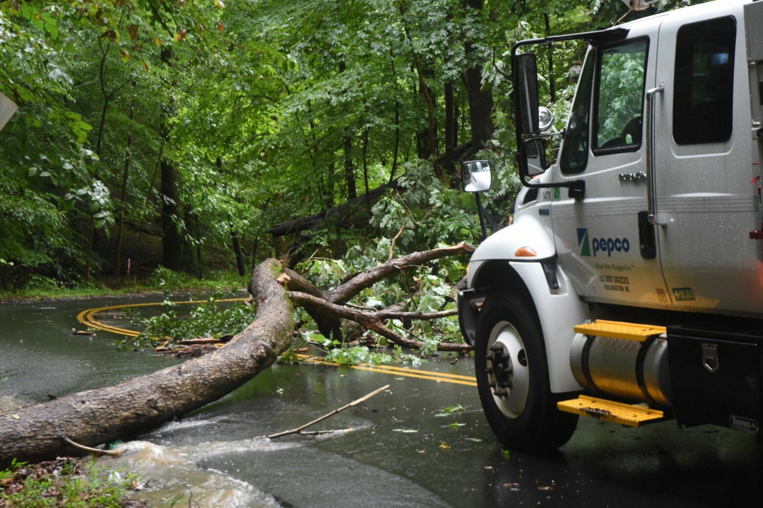 How does Isaias compare to other storms to hit the DC region? - WTOP News