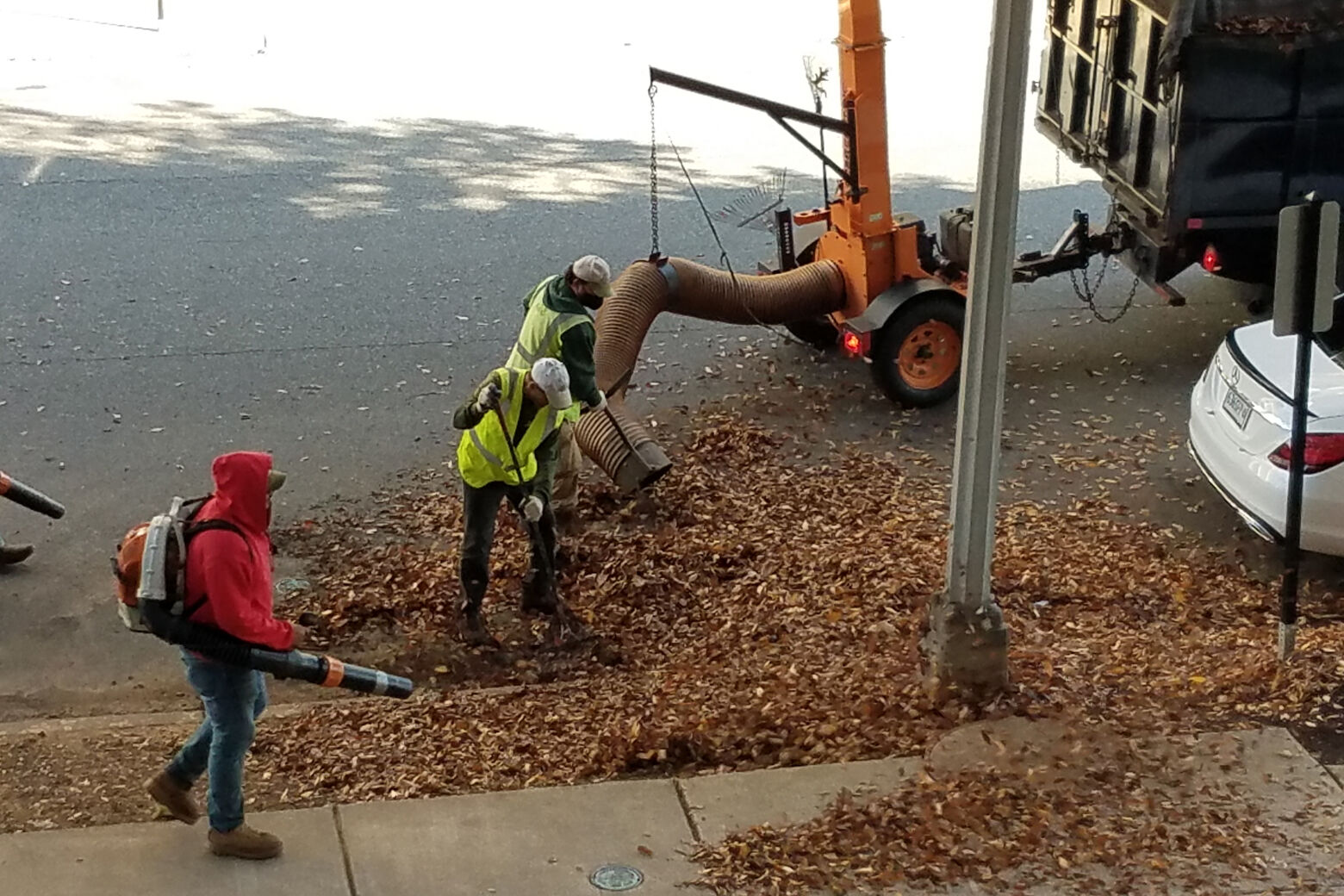 Leaf collection, pumpkin compost season kicks off in DC - WTOP News