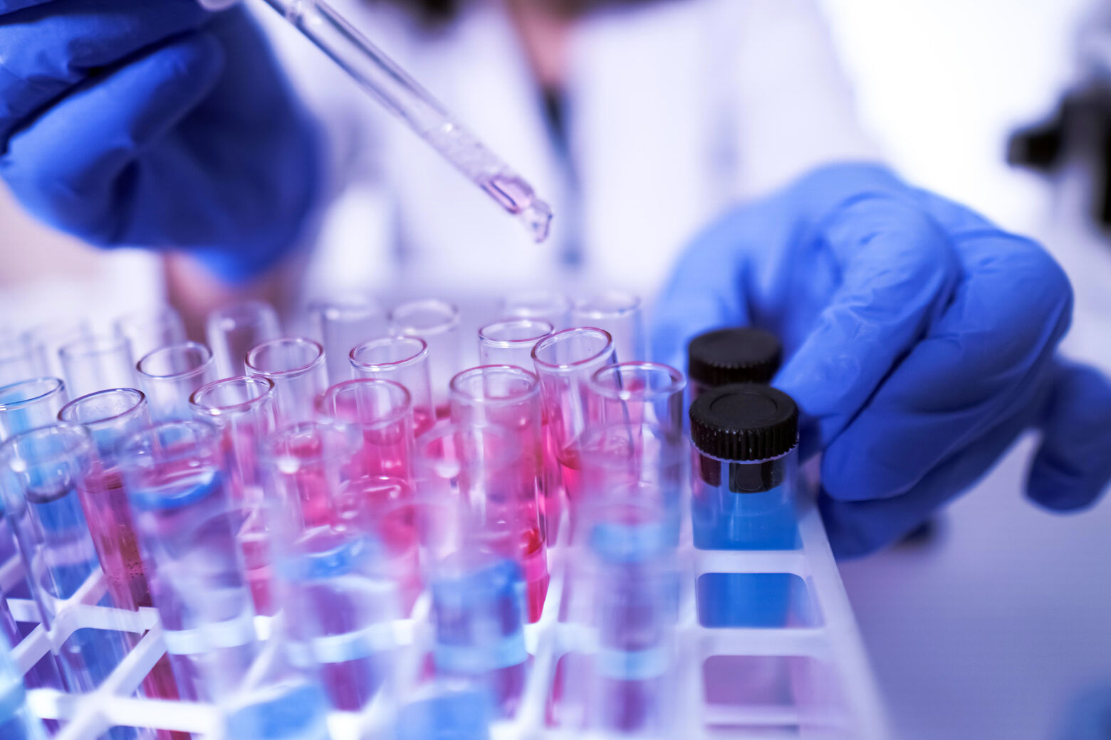 Gaithersburg’s Viela Bio soars on acquisition - WTOP News