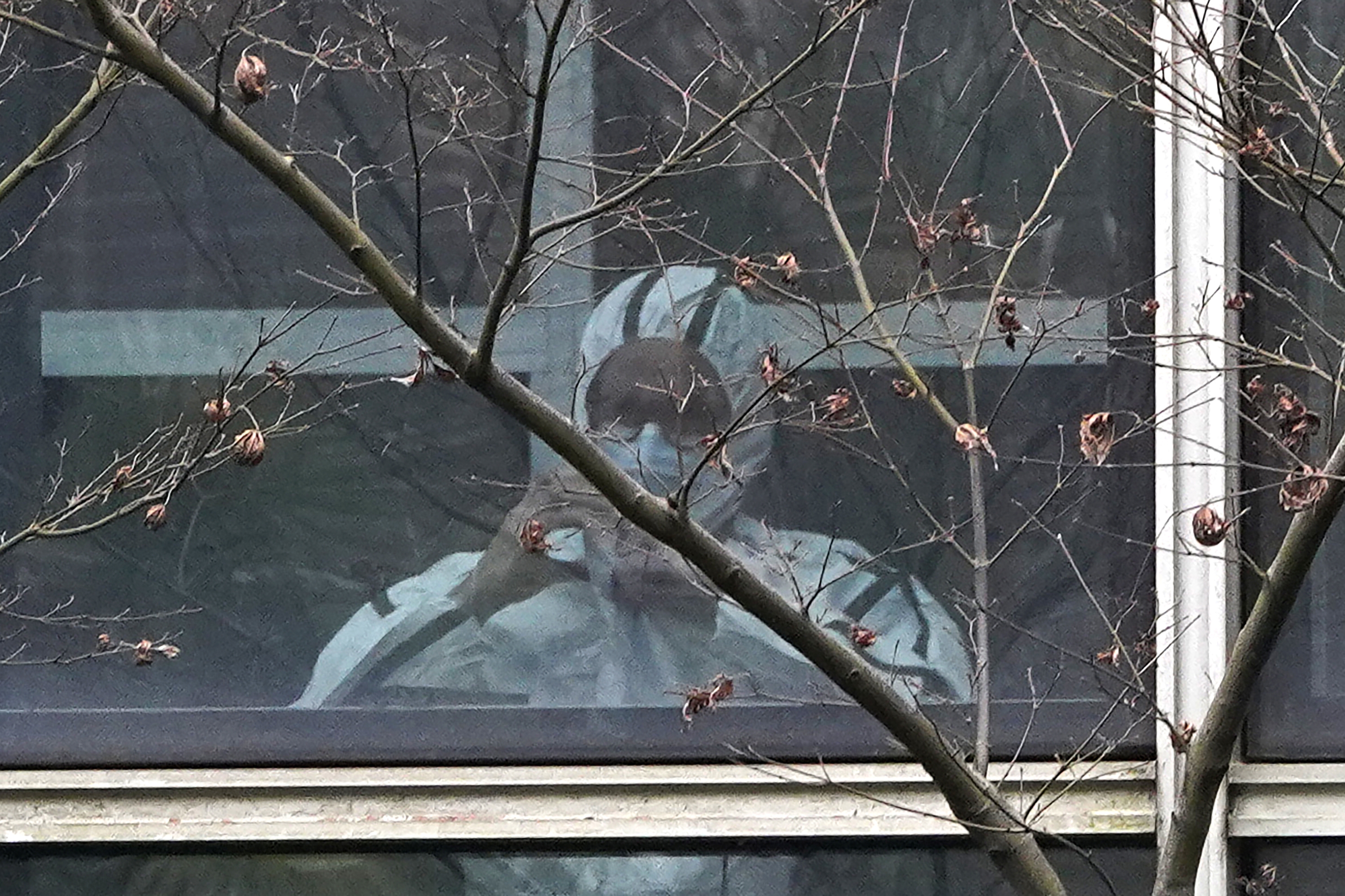 WHO report: COVID likely 1st jumped into humans from animals - WTOP News