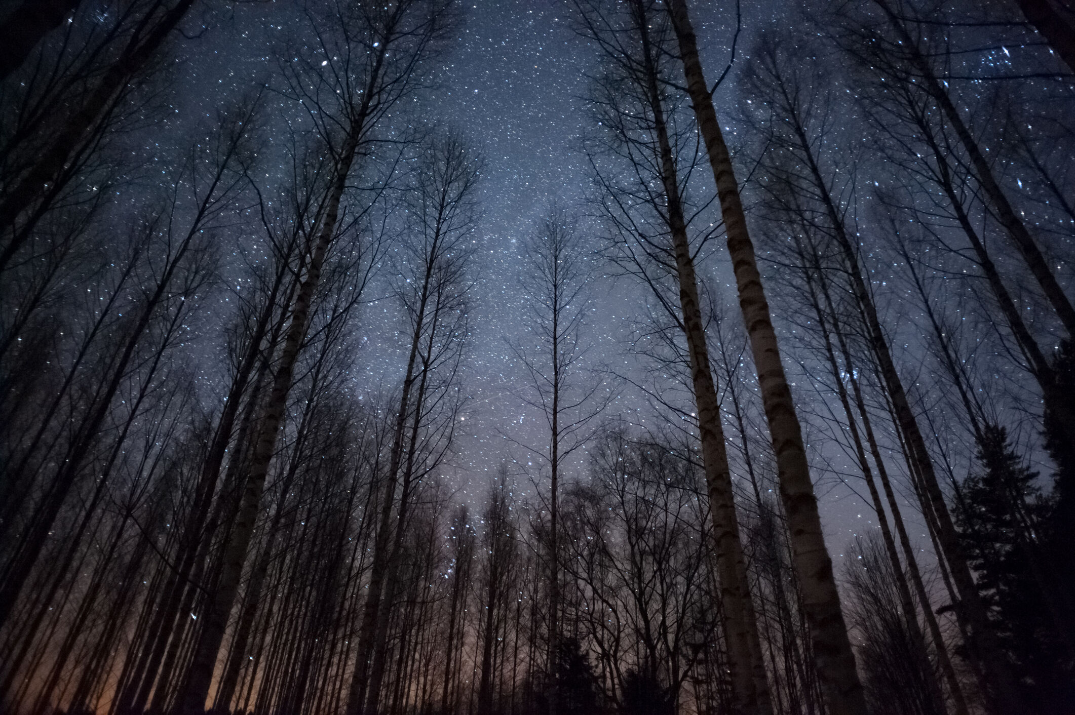 The Space Place: How to celebrate Astroween 2021 - WTOP News