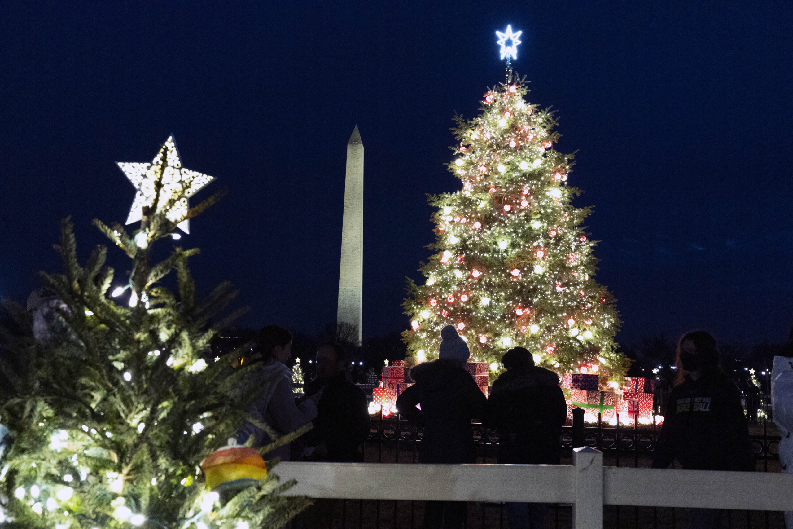 Making Christmas memories in DC: Tourists, locals gather at National ...