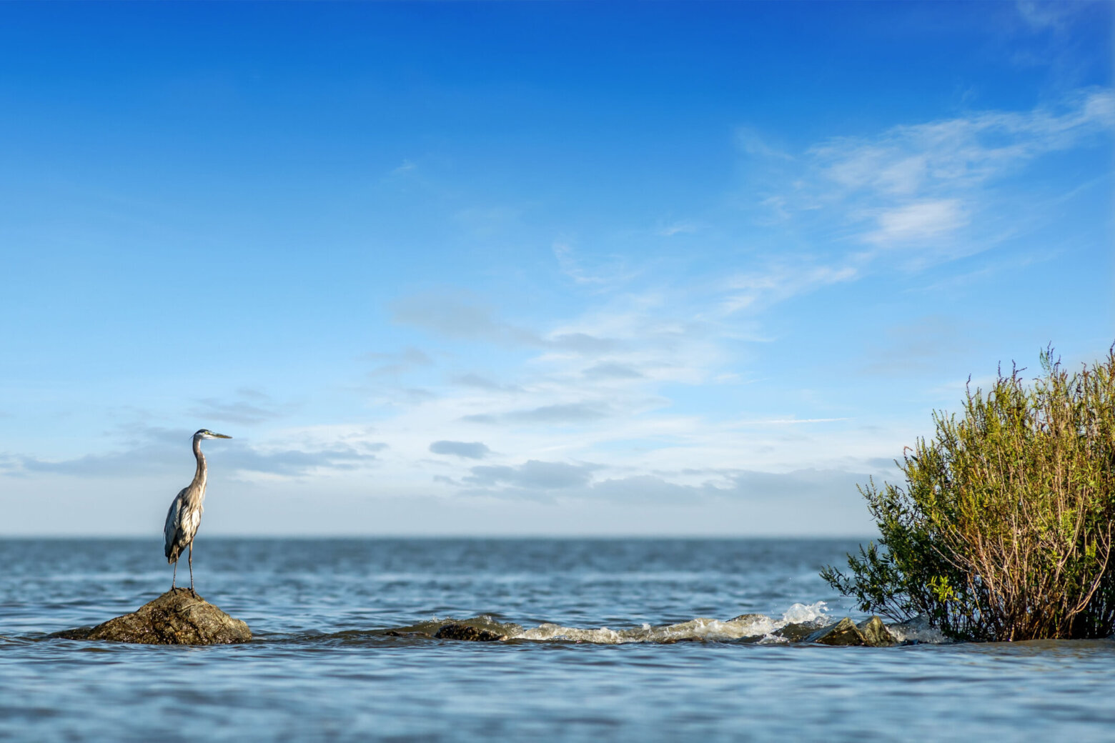 Chesapeake Bay islands receive $37.5 million grant to combat erosion ...