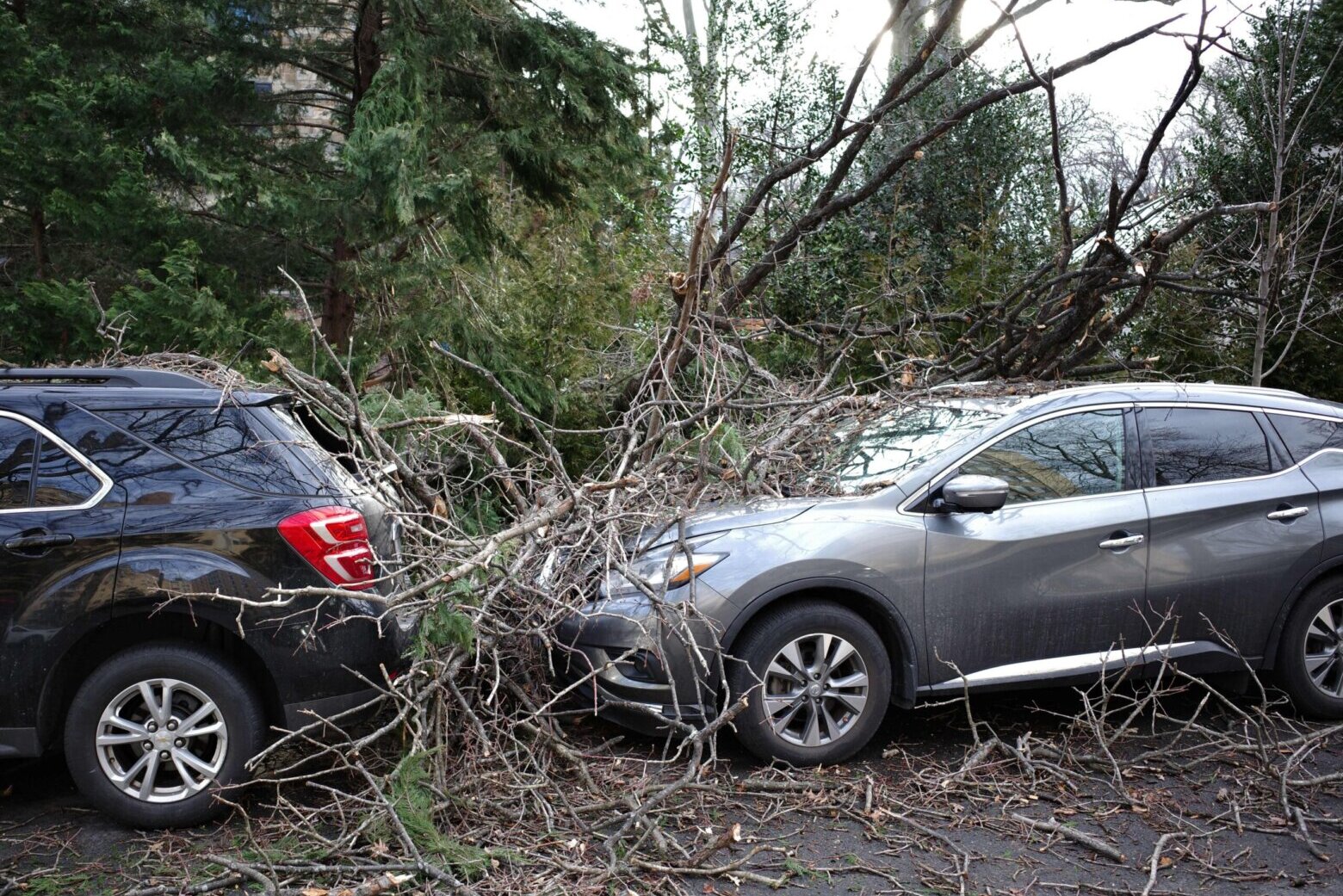 Chilly temperatures, high winds expected again in DC area - WTOP News