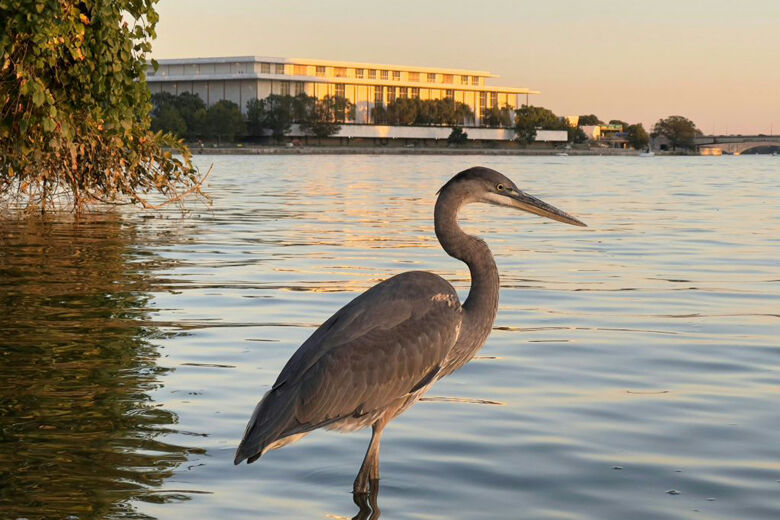 DC Water announces second source of drinking water after vulnerable ...