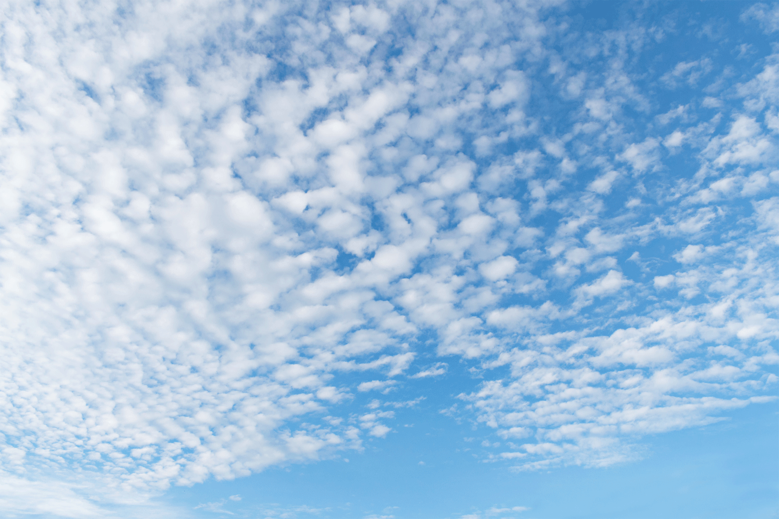 Thanksgiving weekend weather pattern brings air quality concerns to DC ...