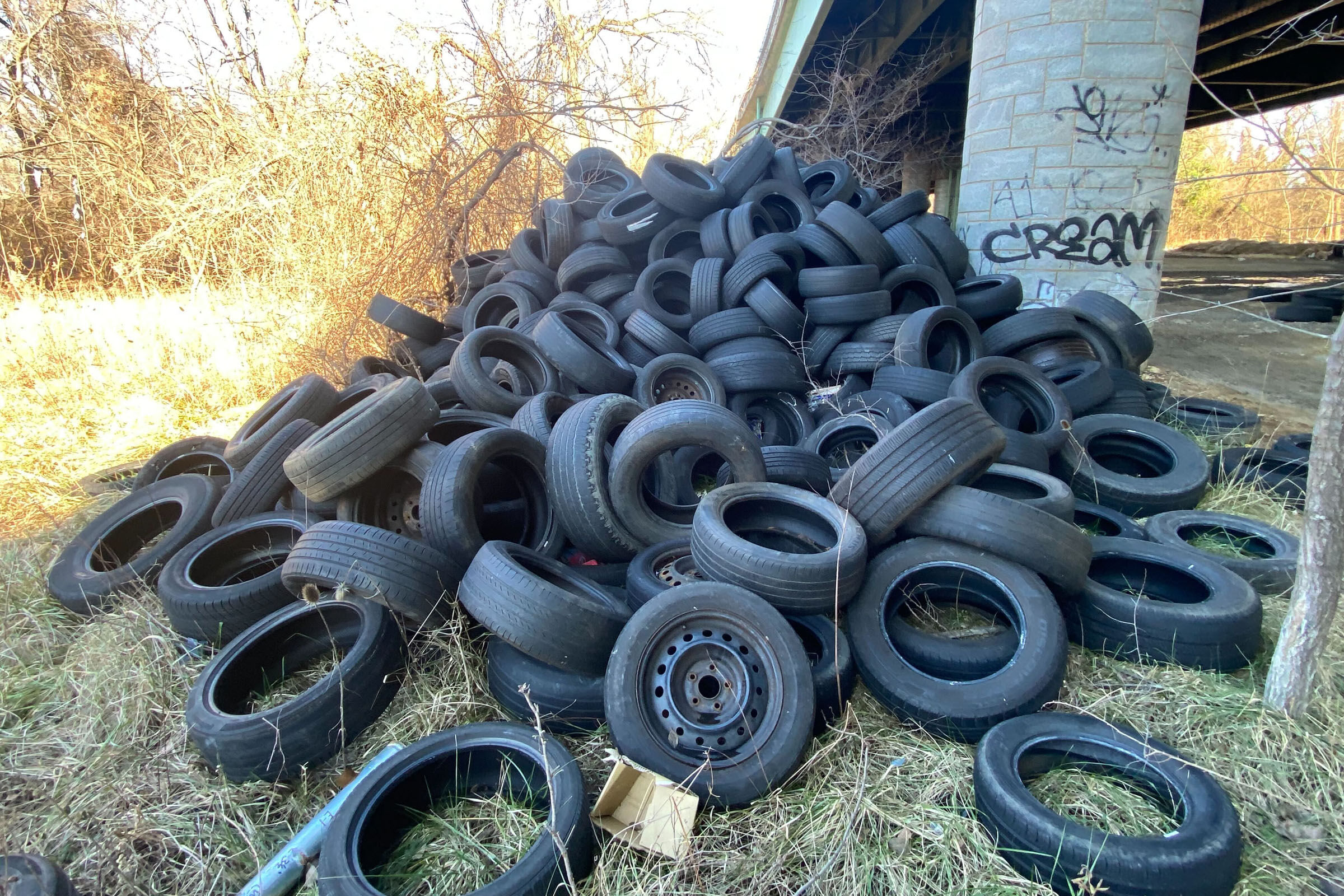 Hundreds of tires found dumped in Anacostia Park - WTOP News