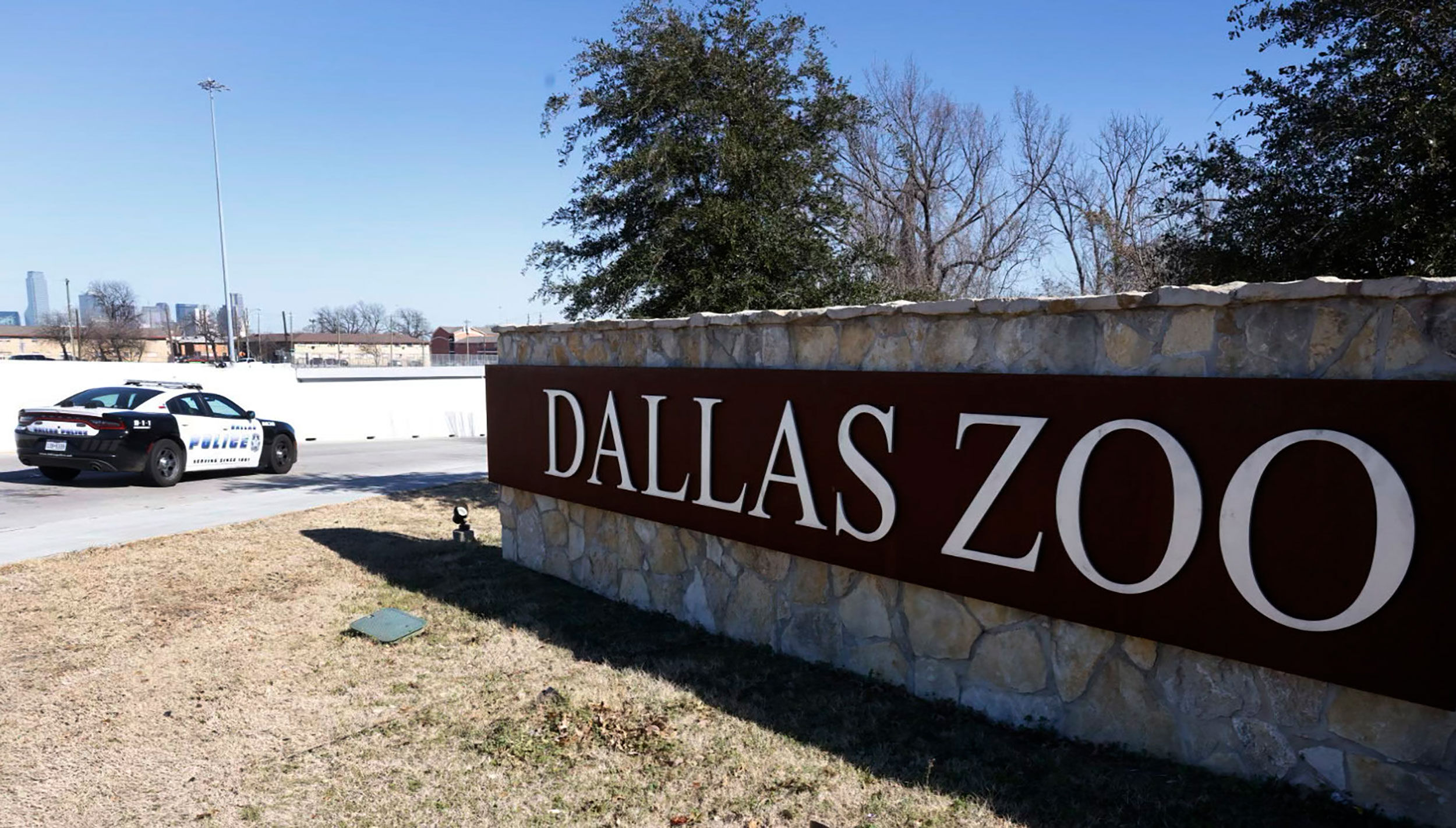 Police are investigating a vulture’s death at the Dallas Zoo as ...
