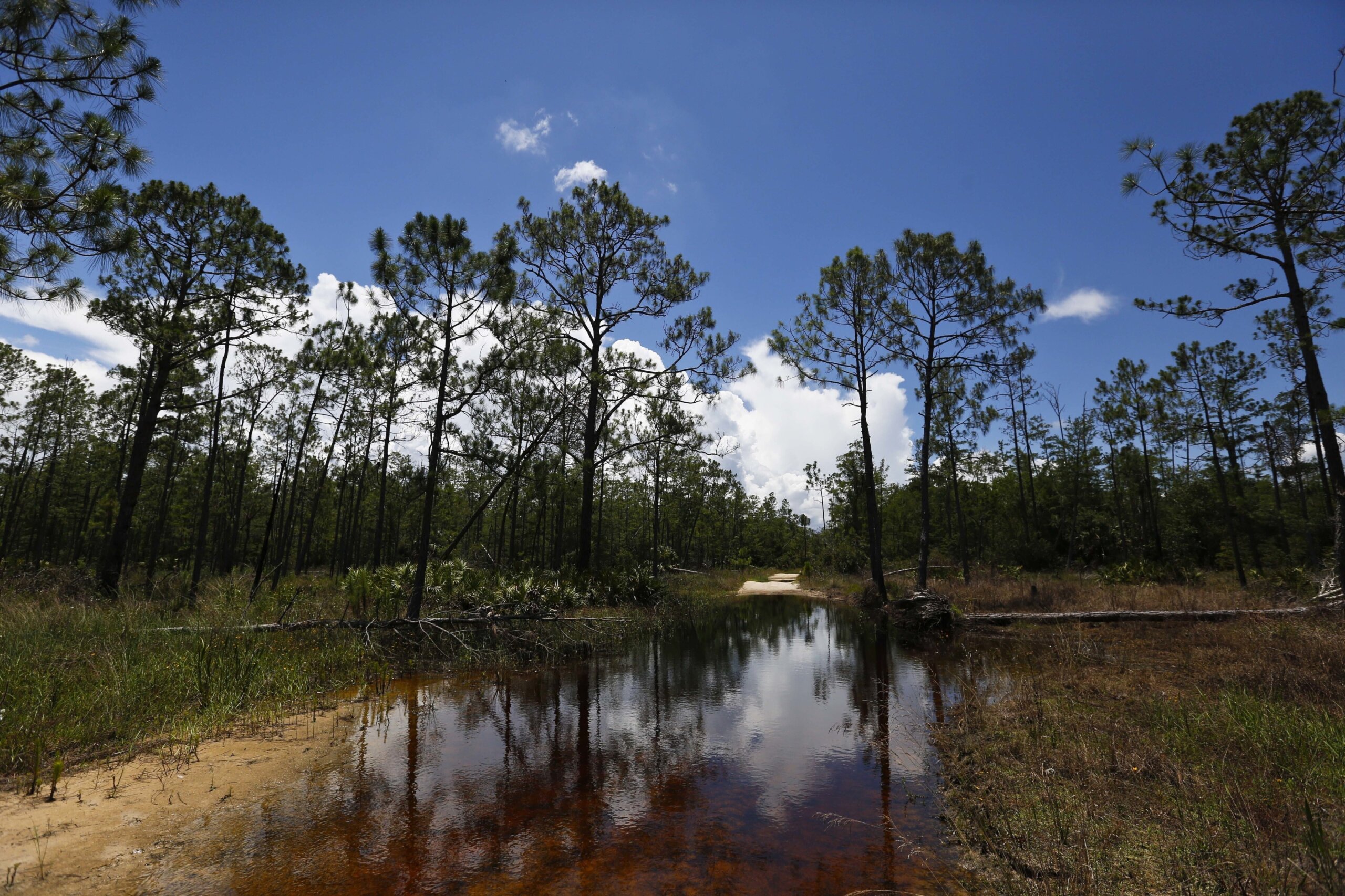 Congress approves measure to toss Biden’s water protections - WTOP News