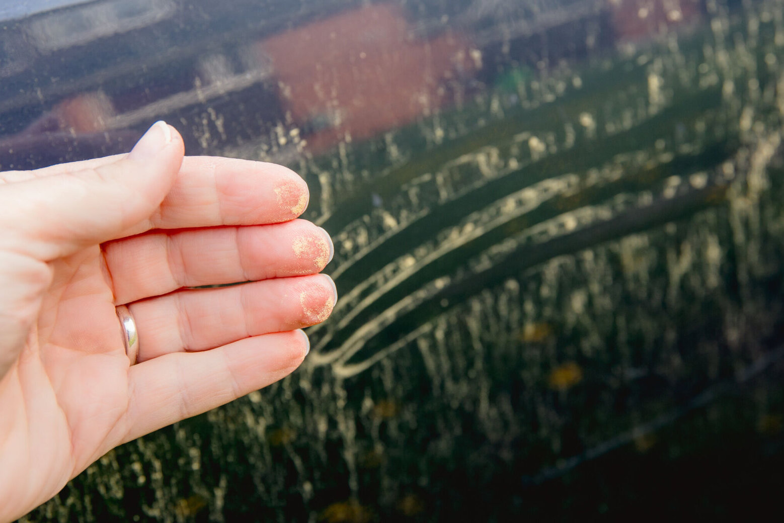 How to keep all that pollen from damaging your car - WTOP News
