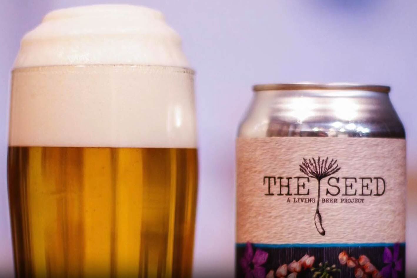 WTOP’s Beer of the Week: The Seed Fiore Italian Pilsner - WTOP News