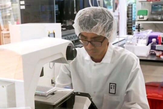 Lab-grown chicken coming to restaurant tables and, eventually, stores ...