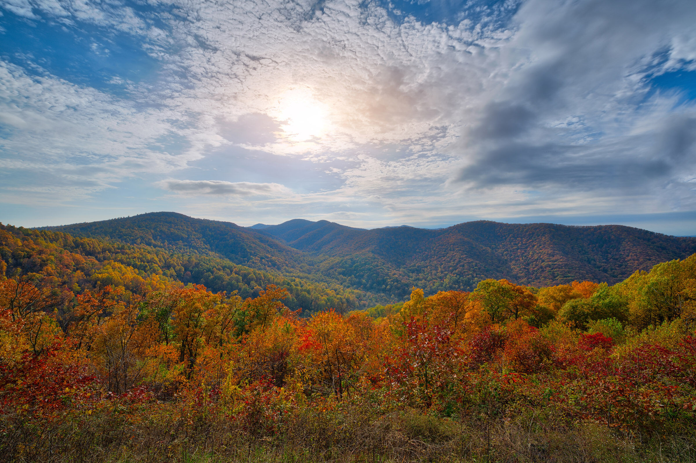 Tour Virginia’s fall foliage aboard a historical warbird in Culpeper ...