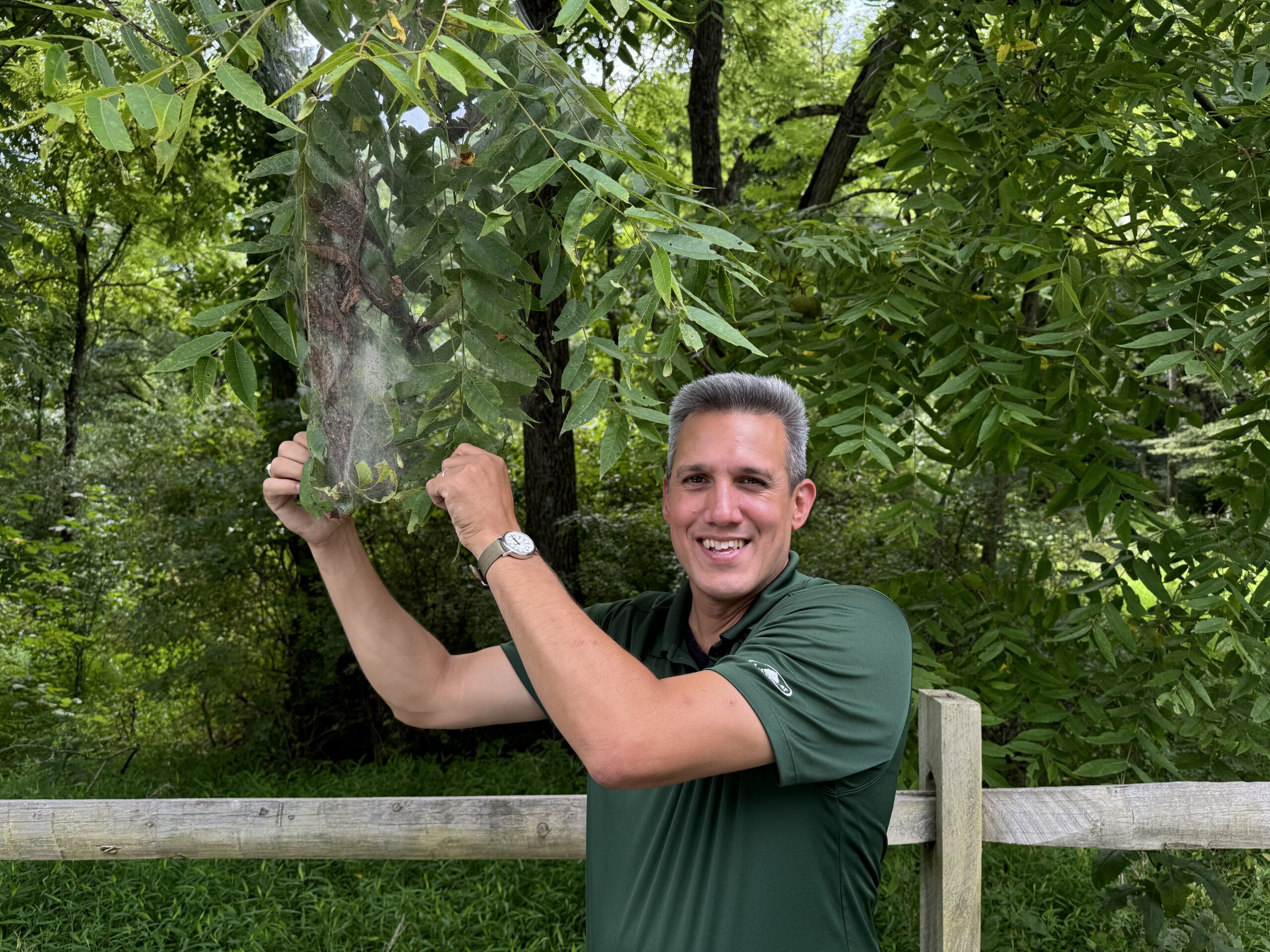 From bugs to trees, a Md. arborist’s tips for spotting invasive species ...