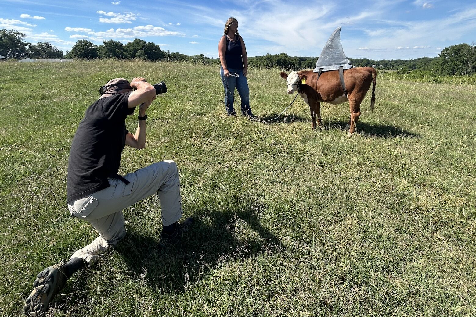 Mooooove over ‘Shark Week,’ it’s time for ‘Cow Week’ on MPT - WTOP News