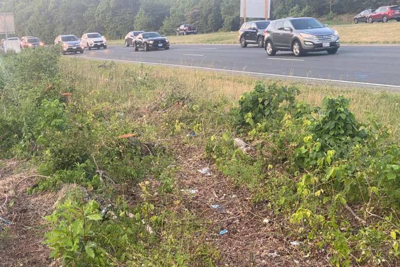 Md. woman charged in deadly 2024 crash that killed NFL draftee pleads ...
