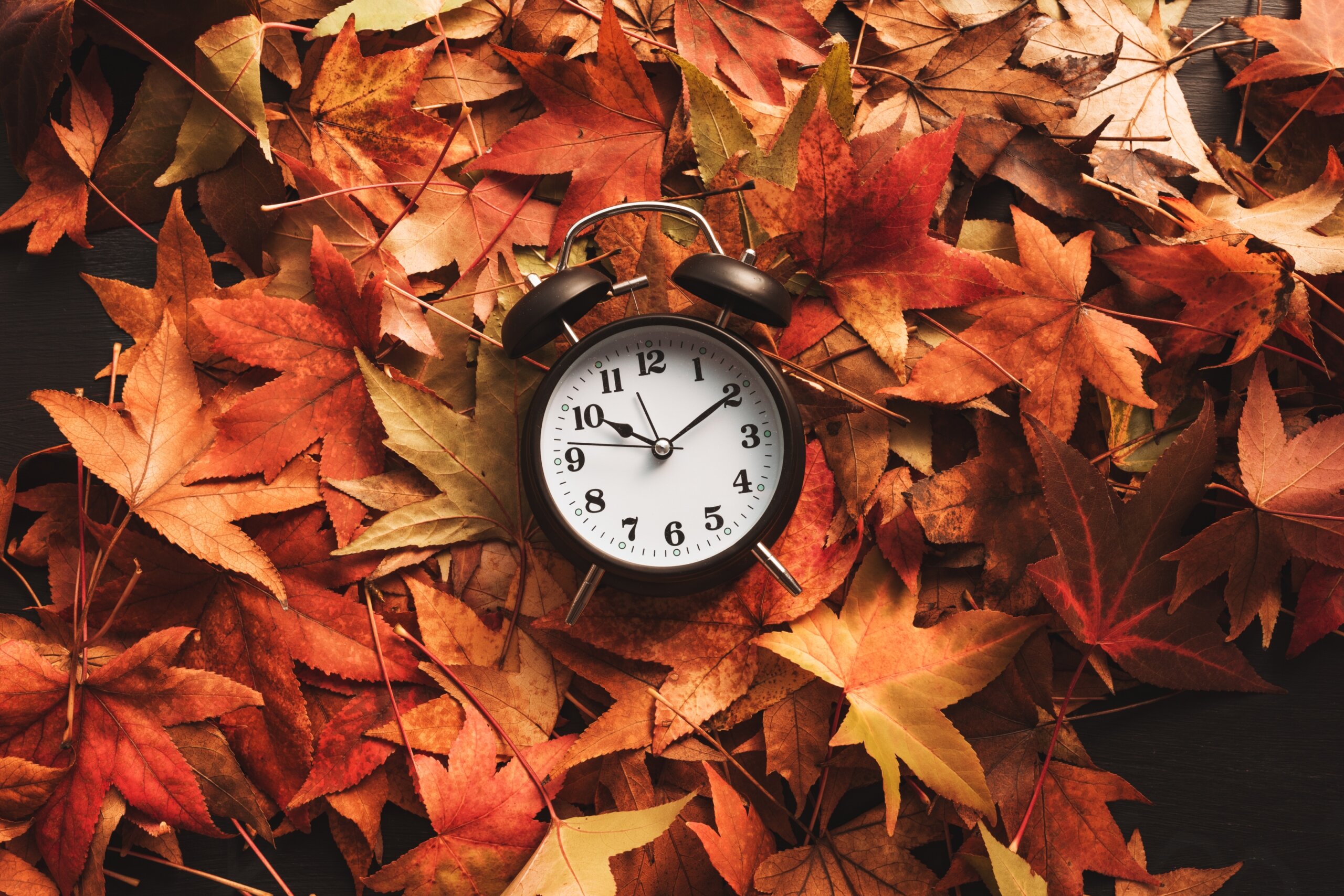 Daylight saving time ends: Fall back without losing sleep - WTOP News