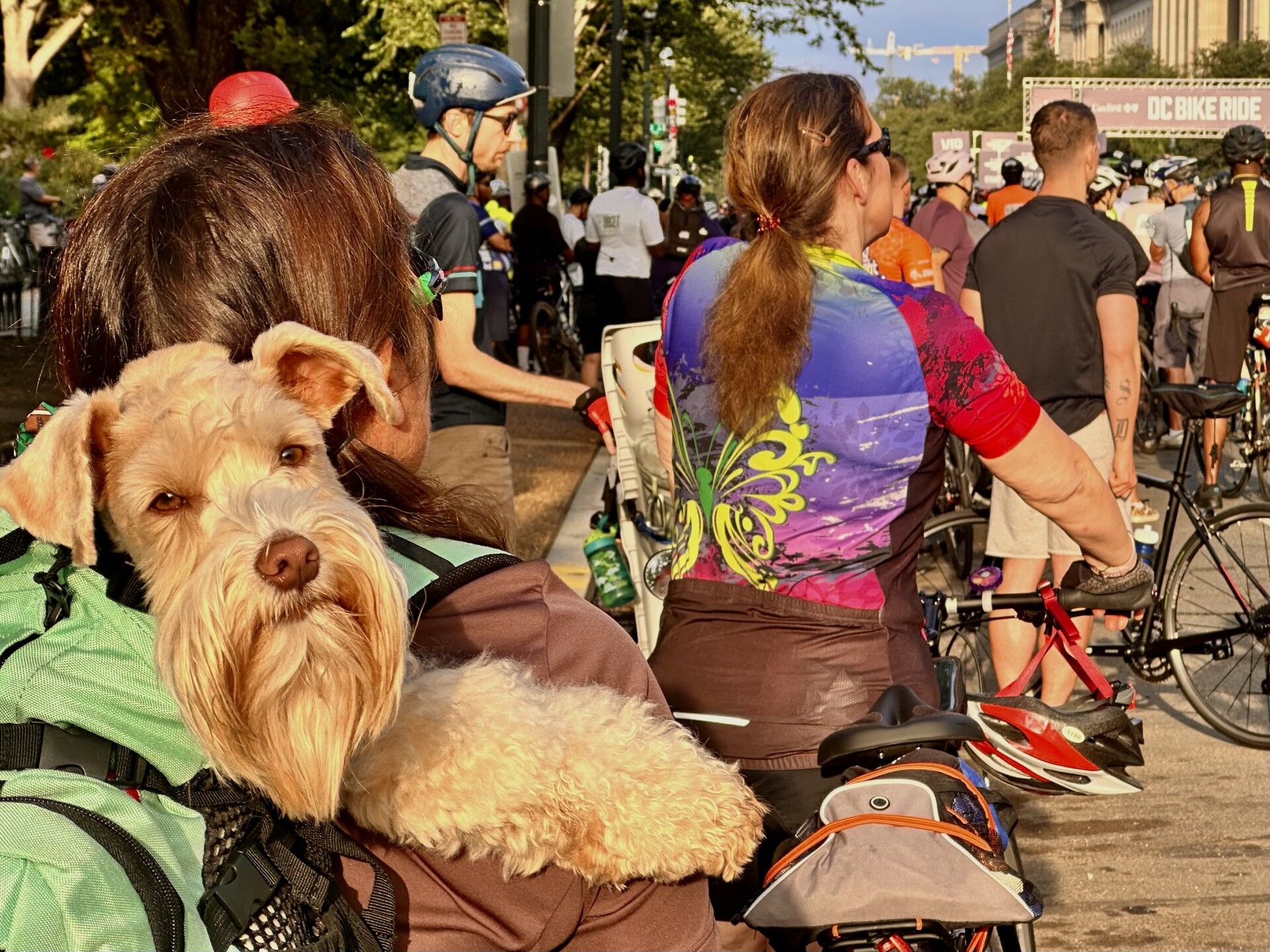 DC Bike Ride brings ten thousand cyclists to nation’s capital - WTOP News