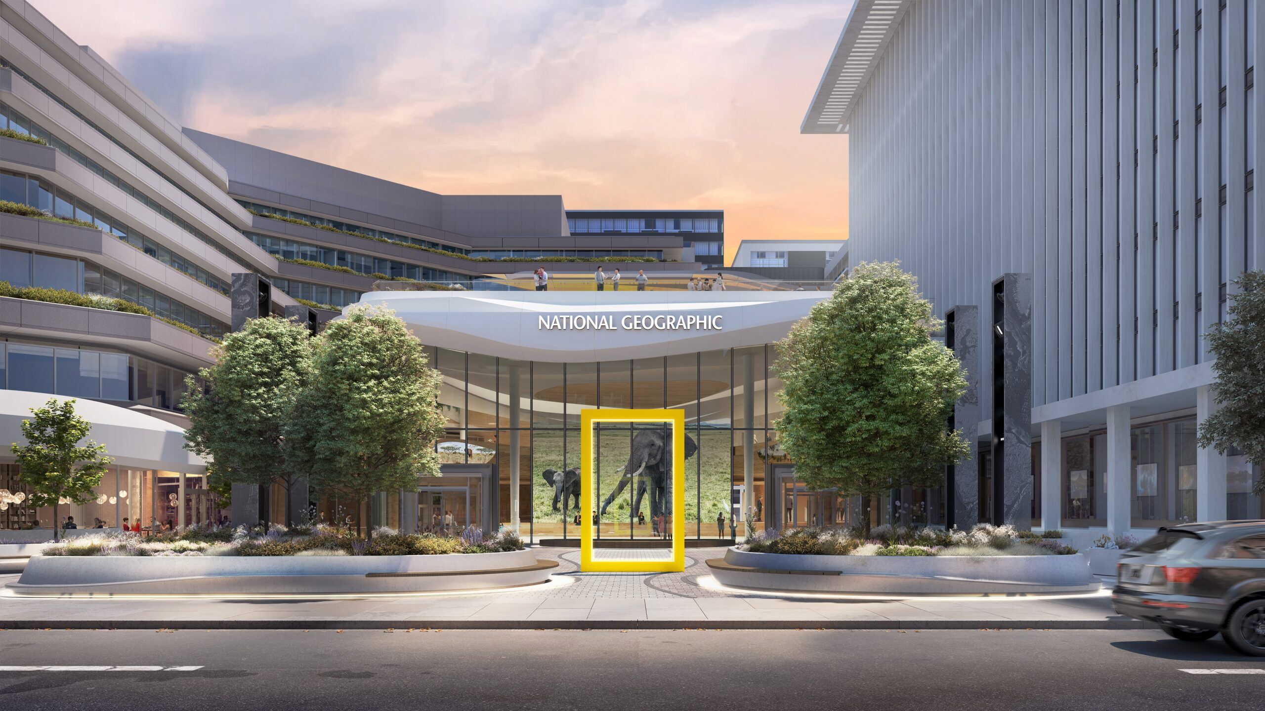 Education meets exploration at new DC National Geographic museum set to ...