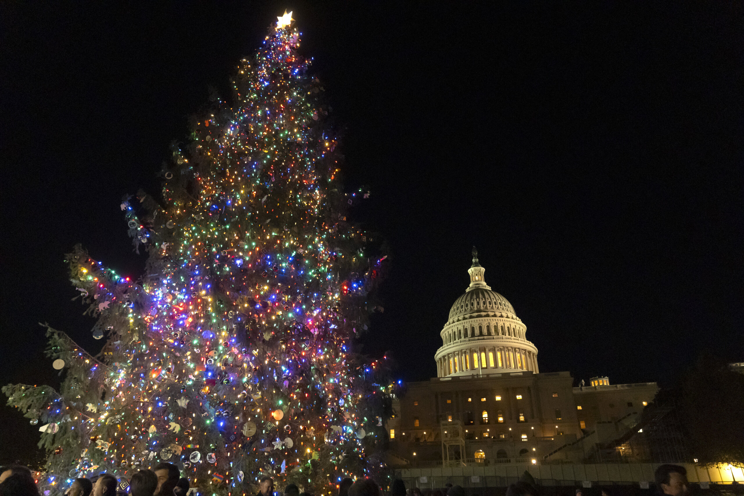 PHOTOS: 2024 Capitol Christmas tree lighting in DC - WTOP News