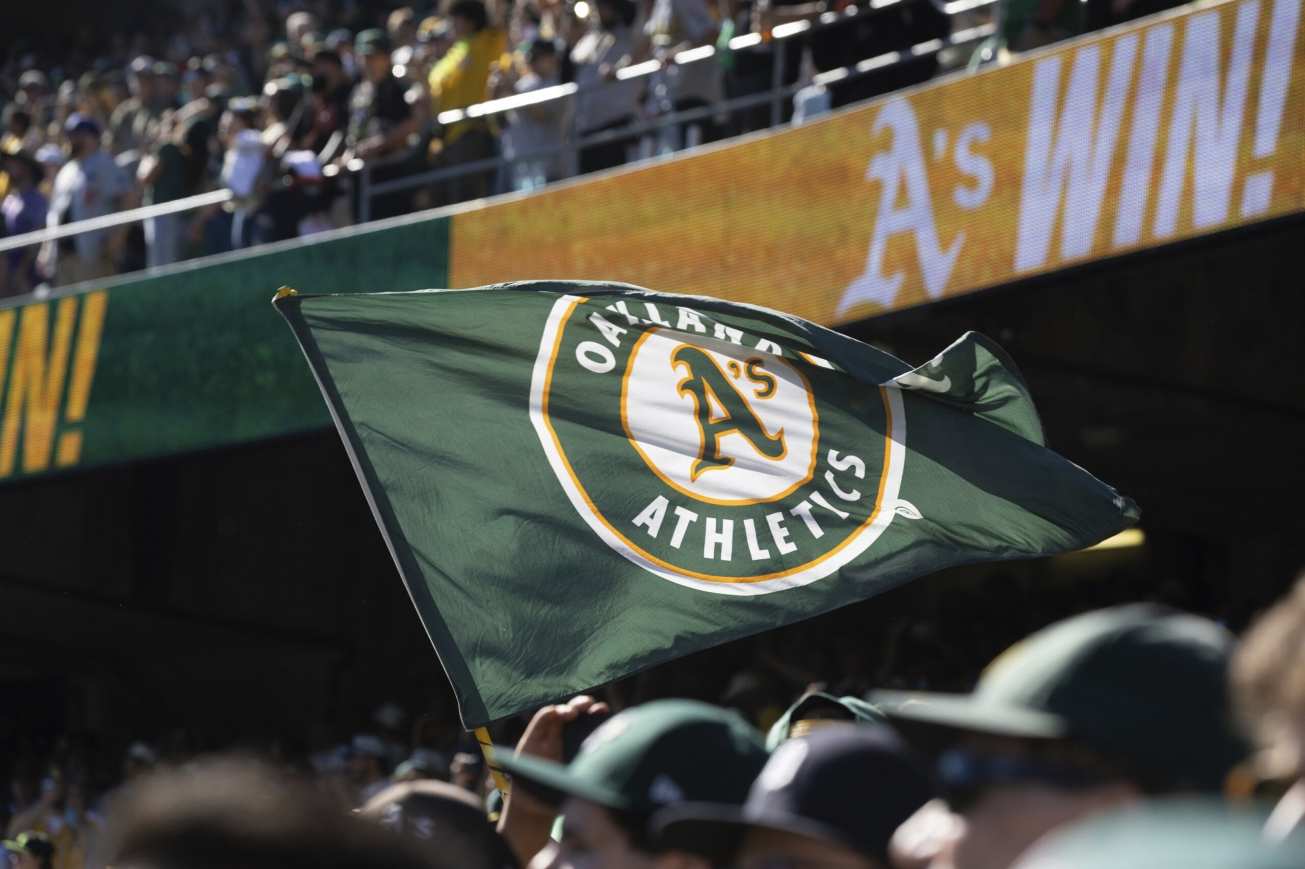 Shotaro Morii, 18-year-old 2-way player, bypasses Japanese baseball to ...