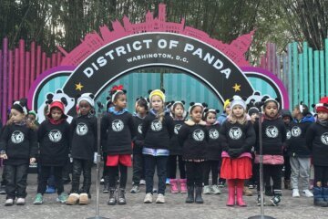 WTOP | Washington’s Top News | DC, MD & VA News, Traffic & Weather