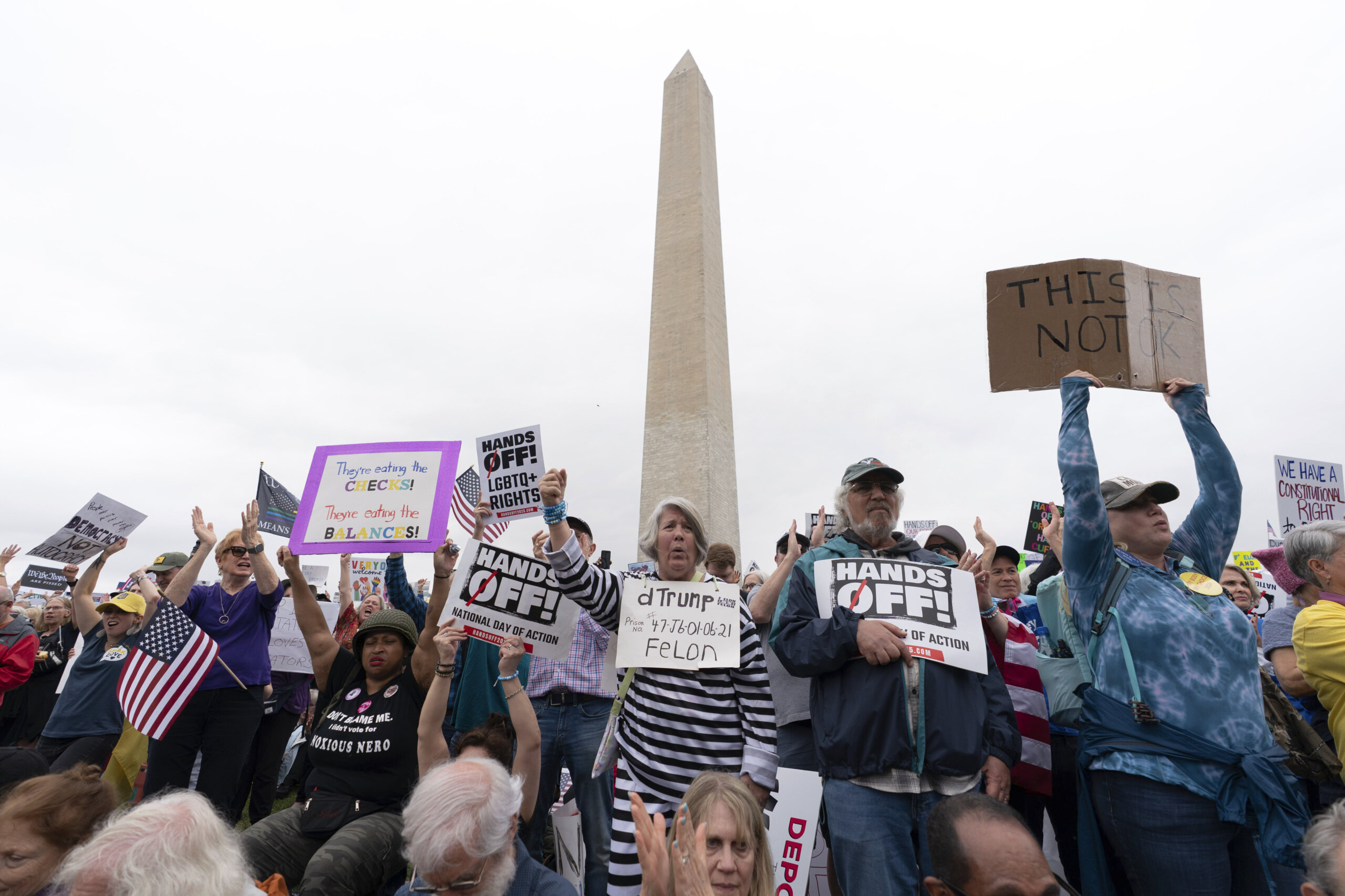 PHOTOS: Thousands march against Trump, Musk at DC’s ‘Hands Off!’ rally ...
